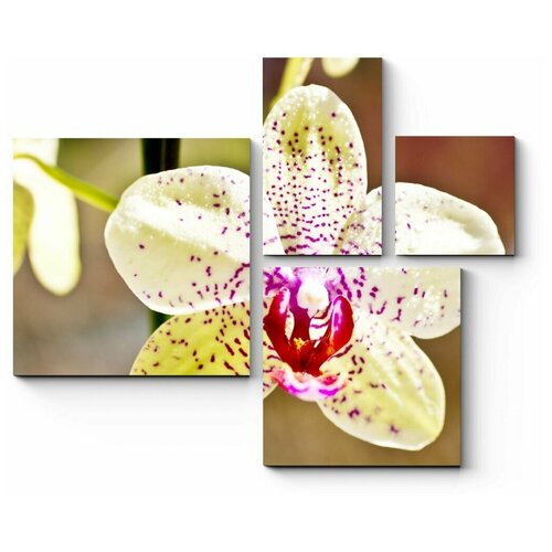 Модульная картина Тигровая орхидея 72x60