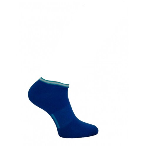 Носки Пингонс, 3 пары, размер 25 (размер обуви 38-40), синий