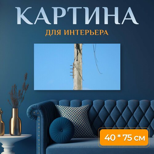 Картина на холсте "Скопа, гнездо, птица" на подрамнике 75х40 см. для интерьера