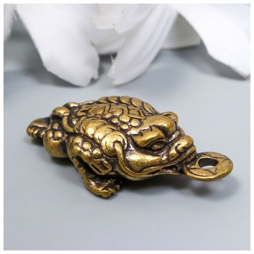 Сувенир латунь "Денежная жаба с монетой" 1,9х3,4 см
