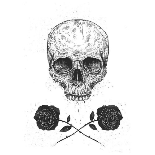 Интерьерный постер "Skull N' Roses" размера 50х70 см 500*700 мм репродукция без рамы в тубусе для декора комнаты офиса дома дизайна спальни гостиной