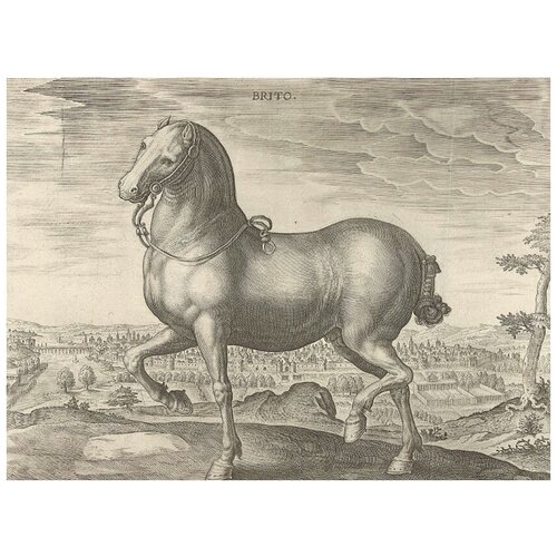 Репродукция на холсте Лошадь из Англии Ян ван дер Страт 54см. x 40см.