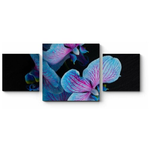 Модульная картина Голубая орхидея110x47