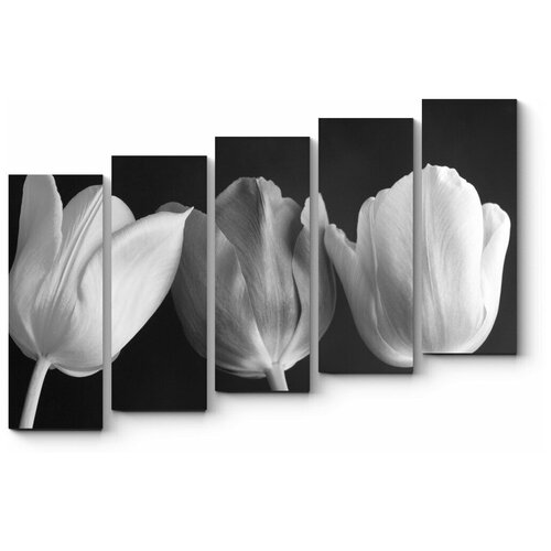 Модульная картина Монохромные тюльпаны 150x105