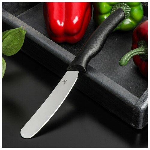 Нож для масла Доляна «Грайм», лезвие 7,5 см, цвет чёрный