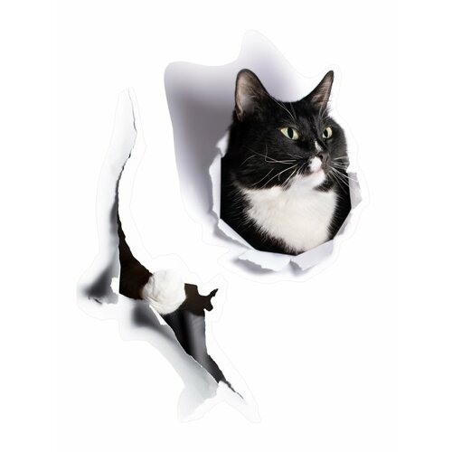 Наклейка интерьерная "Черный белый кот", на холодильник, на унитаз, на дверь, на шкаф, на кухню