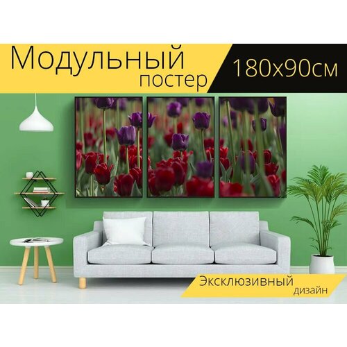 Модульный постер "Тюльпаны, фестиваль, спб" 180 x 90 см. для интерьера