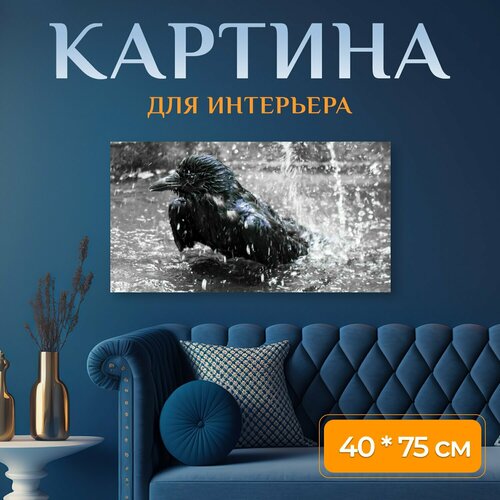 Картина на холсте "Дикая природа, птица, ворона" на подрамнике 75х40 см. для интерьера