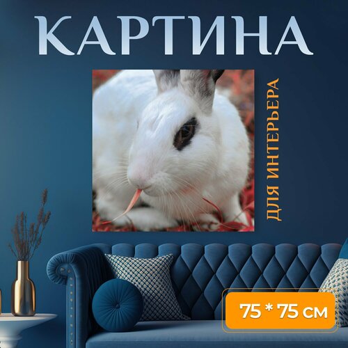 Картина на холсте "Кролик, белый, чернить" на подрамнике 75х75 см. для интерьера