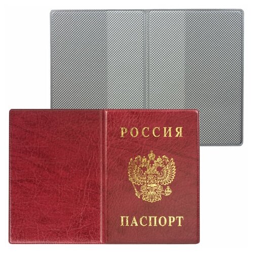 Обложка для паспорта DPSkanc, красный, бордовый