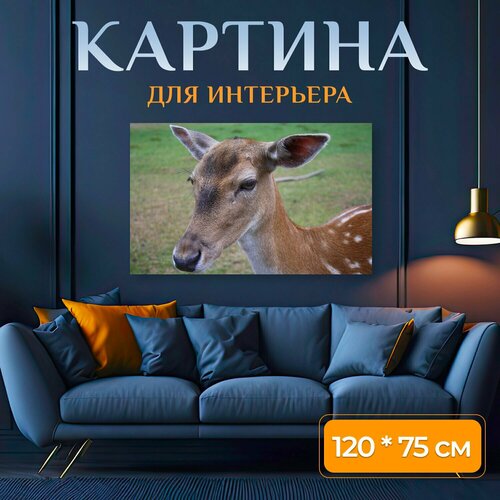 Картина на холсте "Животное, олень, застенчивый" на подрамнике 120х75 см. для интерьера