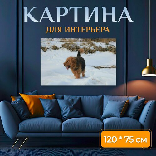 Картина на холсте "Собака, терьер, эрдельтерьер" на подрамнике 120х75 см. для интерьера