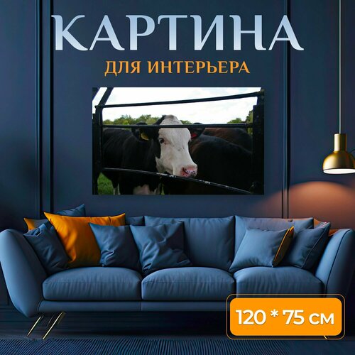 Картина на холсте "Корова, ферма, домашний скот" на подрамнике 120х75 см. для интерьера