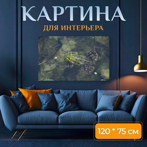 Картина на холсте "Лягушка, грин, амфибия" на подрамнике 120х75 см. для интерьера