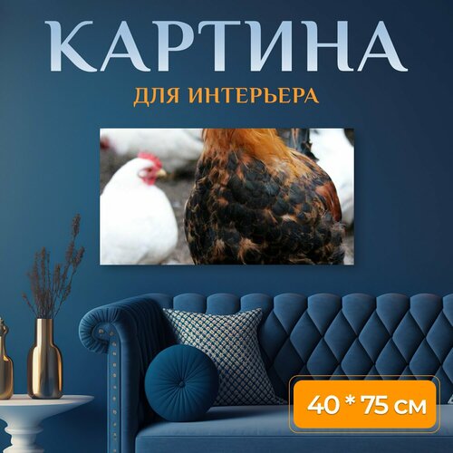Картина на холсте "Домашняя птица, птица, курица" на подрамнике 75х40 см. для интерьера
