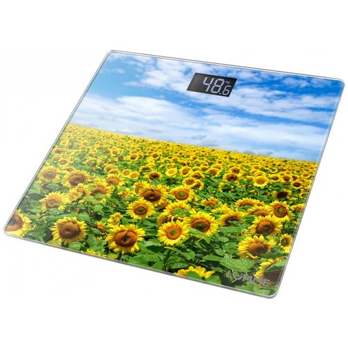 Весы электронные LUMME LU-1328 sunflowers, Рисунок