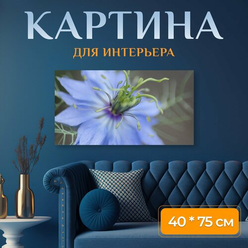 Картина на холсте "Чернушка, цветок, синий" на подрамнике 75х40 см. для интерьера