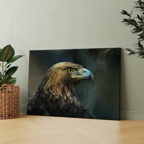 Картина на холсте (Орёл - чёрный хищник) 60x80 см. Интерьерная, на стену.