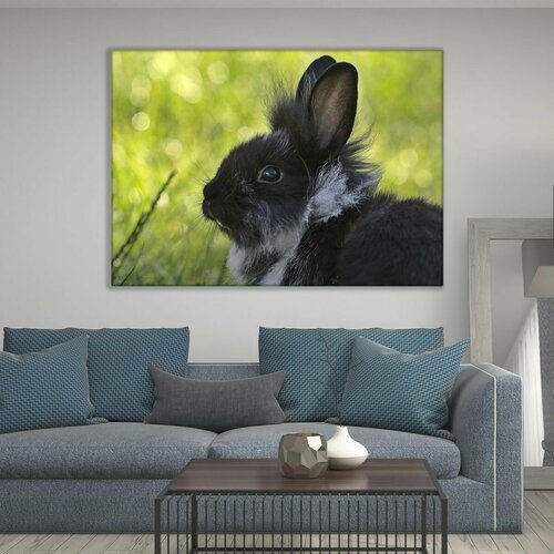 Картина на холсте (Черный кролик в зеленой листве, животные) 40 60 см/для интерьера/в комнату/на стену/в подарок