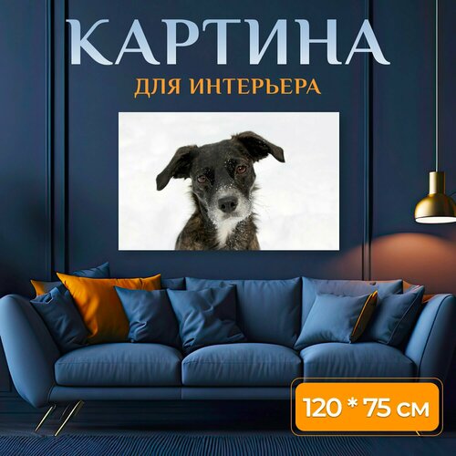 Картина на холсте "Собака, портрет, чернить" на подрамнике 120х75 см. для интерьера