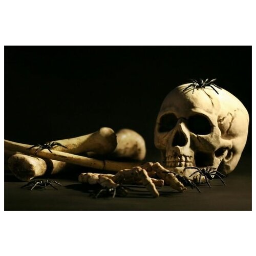 Постер на холсте Череп (Skull) №3 75см. x 50см.