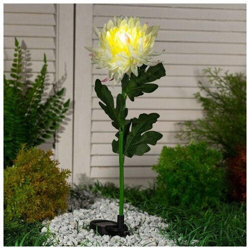 Фонарь садовый на солнечной батарее "Хризантема белая" 80 см, 1 LED, белый