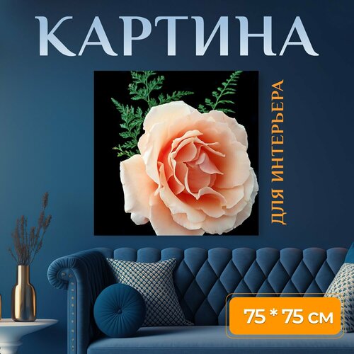 Картина на холсте "Роза, абрикос, цветок" на подрамнике 75х75 см. для интерьера