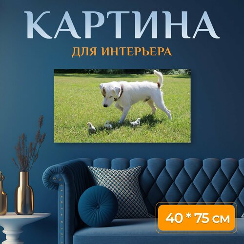 Картина на холсте "Собака, куры, цыплята" на подрамнике 75х40 см. для интерьера