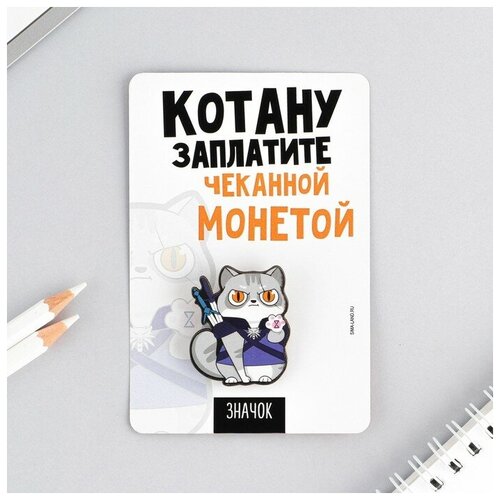 Значок "Котану заплатите", 8 х 12 см