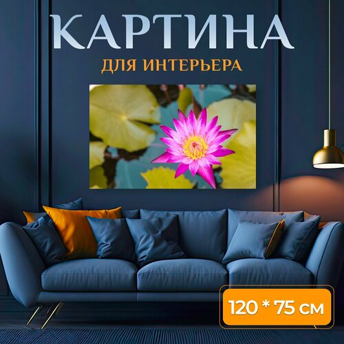 Картина на холсте "Водяная лилия, цветок, завод" на подрамнике 120х75 см. для интерьера