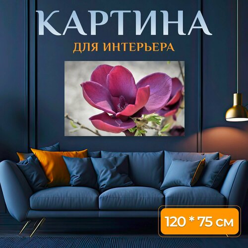 Картина на холсте "Магнолия, цвести, цветок" на подрамнике 120х75 см. для интерьера