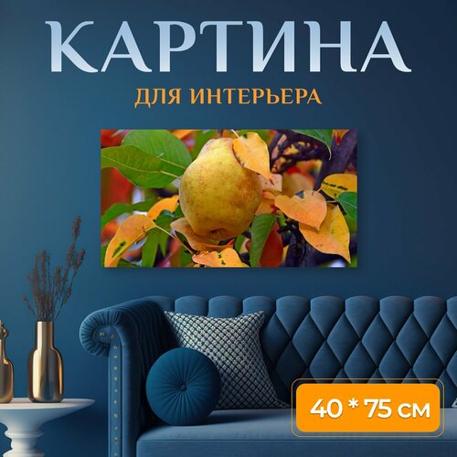 Картина на холсте "Фрукты, груша, желтая груша" на подрамнике 75х40 см. для интерьера