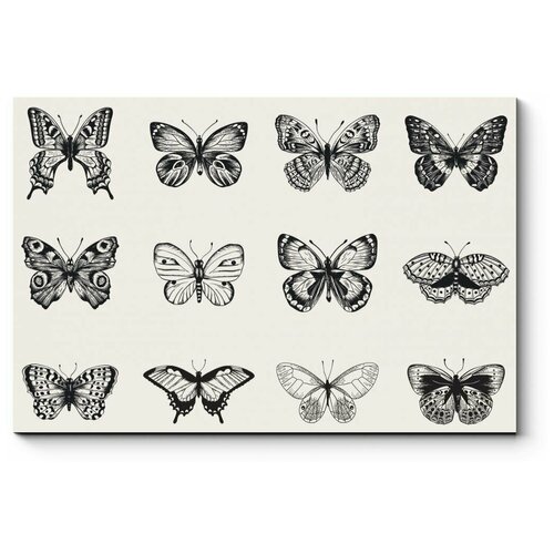 Модульная картина Черно-белые бабочки 60x40