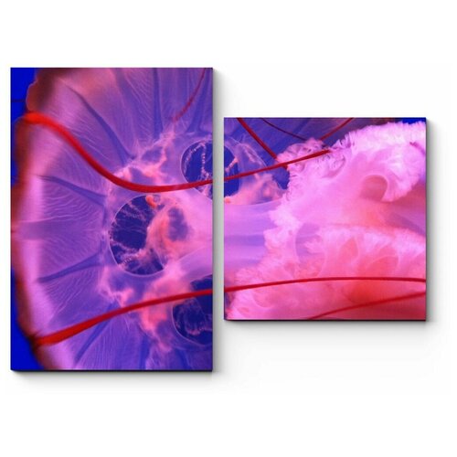 Модульная картина Розовая медуза170x128
