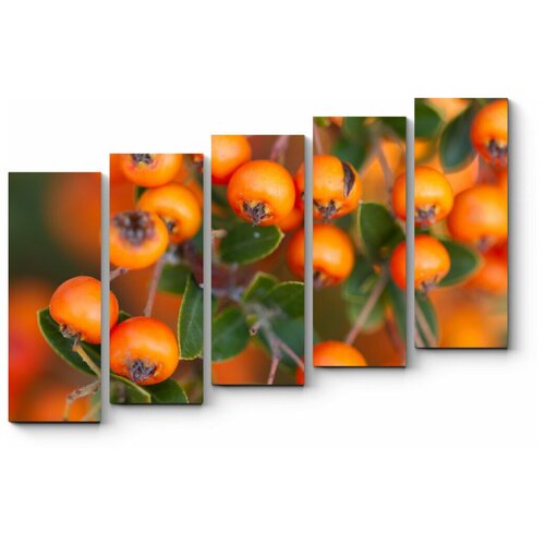 Модульная картина Спелые ягоды рябины 220x154
