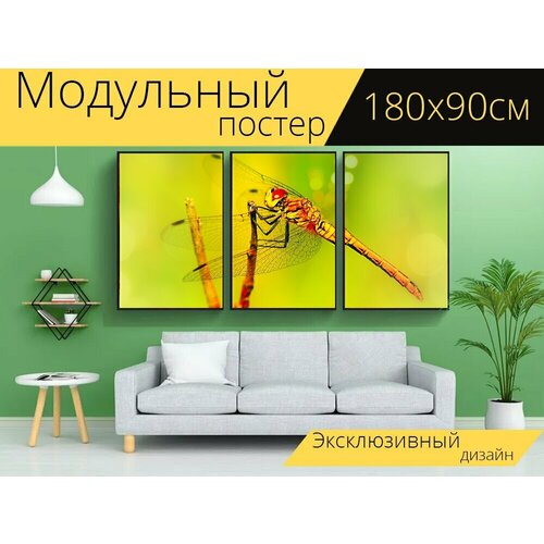 Модульный постер "Szablak желтый, девушки, стрекозы różnoskrzydłe" 180 x 90 см. для интерьера