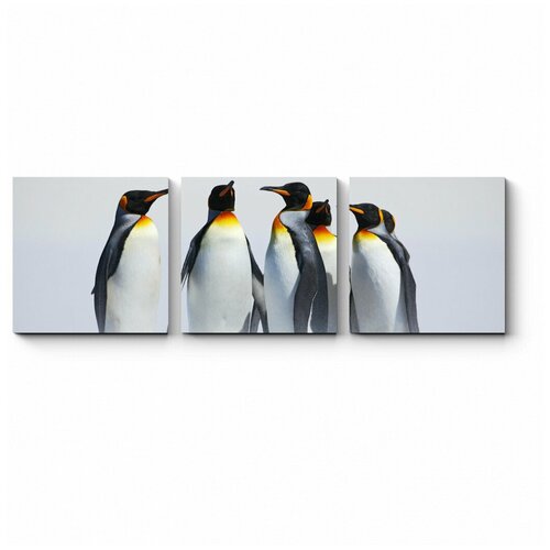 Модульная картина Королевские пингвины гуляют 110x37