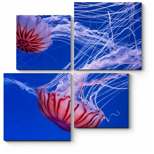 Модульная картина Чудесные медузы120x120