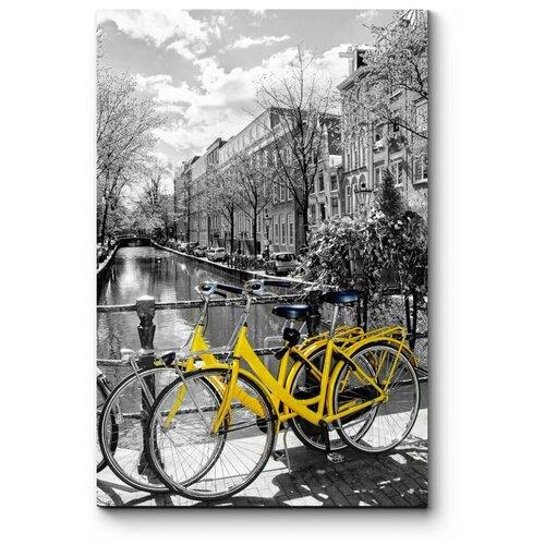 Модульная картина Любимый транспорт амстердамцев 70x105