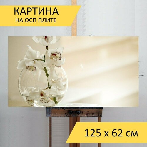 Картина на ОСП 125х62 см. "Орхидея, природа, цветок" горизонтальная, для интерьера, с креплениями