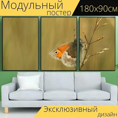 Модульный постер "Бабочка, луговой пташки, природа" 180 x 90 см. для интерьера