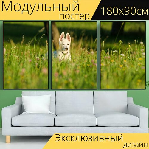 Модульный постер "Собака щенок на цветочном лугу, цветочный луг, маленькая собака" 180 x 90 см. для интерьера