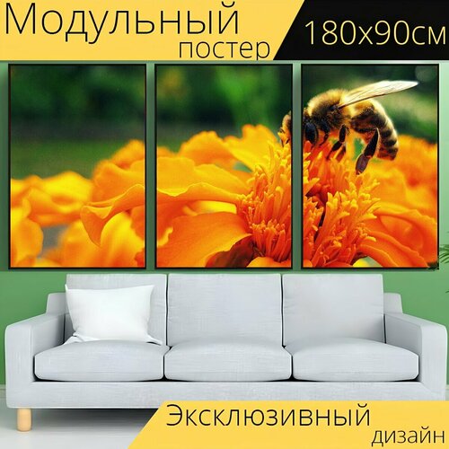 Модульный постер "Пчела, цветок, насекомое" 180 x 90 см. для интерьера