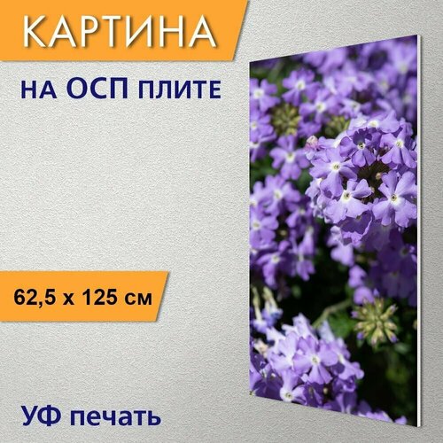 Вертикальная картина на ОСП "Цветок, синий, голубые цветки" 62x125 см. для интерьериа