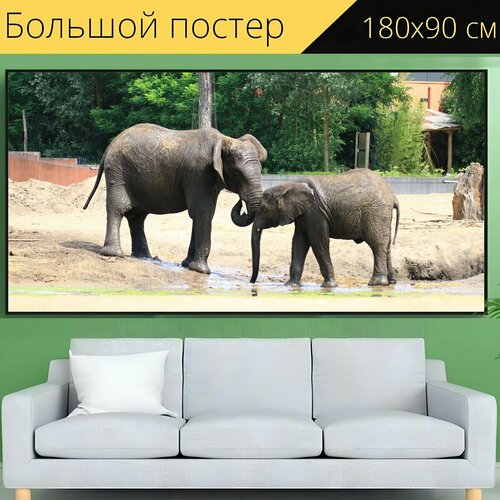 Большой постер "Слоны, млекопитающее, природа" 180 x 90 см. для интерьера