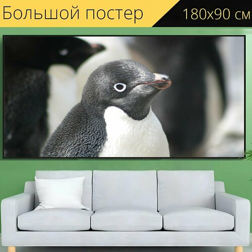 Большой постер "Птица, пингвин, антарктида" 180 x 90 см. для интерьера