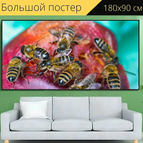 Большой постер "Пчелы, нектар, пчела" 180 x 90 см. для интерьера