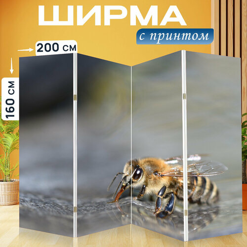 Ширма перегородка с принтом "Пчелы, пчеловод, пчеловодство" на холсте - 200x160 см. для зонирования, раскладная