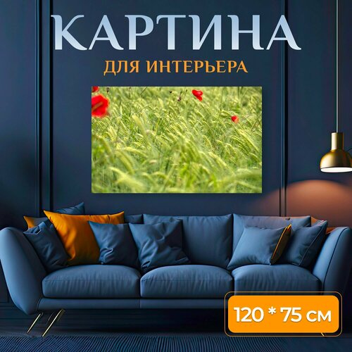 Картина на холсте "Пшеничное поле, травы, маки" на подрамнике 120х75 см. для интерьера