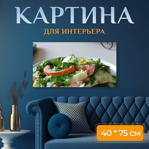 Картина на холсте "Салат, еда, овощи" на подрамнике 75х40 см. для интерьера